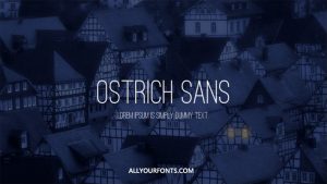 Ostrich Sans Font Free Download - All Your Fonts
