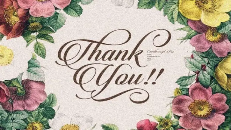 Candlescript Font Free Download - All Your Fonts