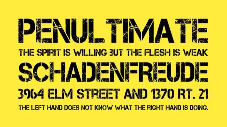 Capture It Font Free Download - All Your Fonts