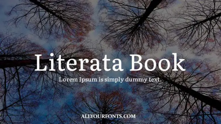 Literata Font Free Download - All Your Fonts