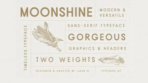 Moonshine Font Free Download - All Your Fonts