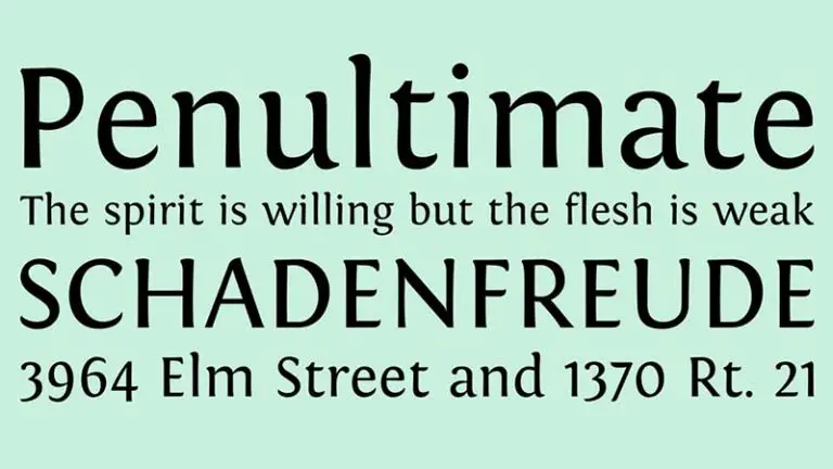 Fontin Font Free Download All Your Fonts